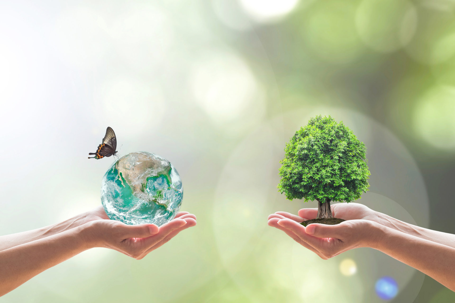 TVET and sustainable development – Lucubrate Magazine