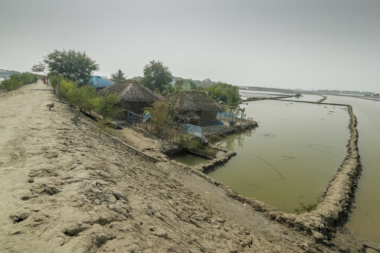 Living With River Tides and Disasters – Lucubrate Magazine